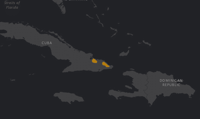 Almiquí o Solenodon cubanus - 🥇 Extinción Animal 2024