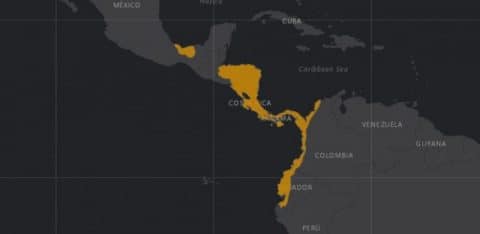 Mono Congo o Alouatta Palliata - 🥇 Extinción Animal 2022